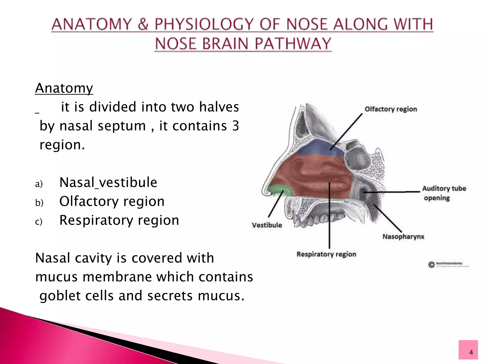 Intra nasal route drug delivery system | PPTX