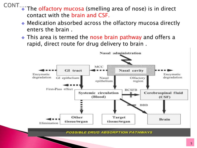 Intra nasal route drug delivery system | PPTX | Ear, Nose and Throat ...