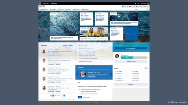 15 Intranet design examples | PPT