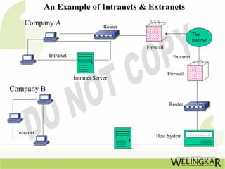 Intranet & Extranet | PDF