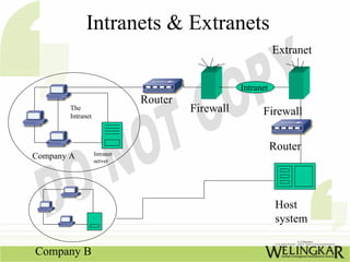 Intranet & Extranet | PDF