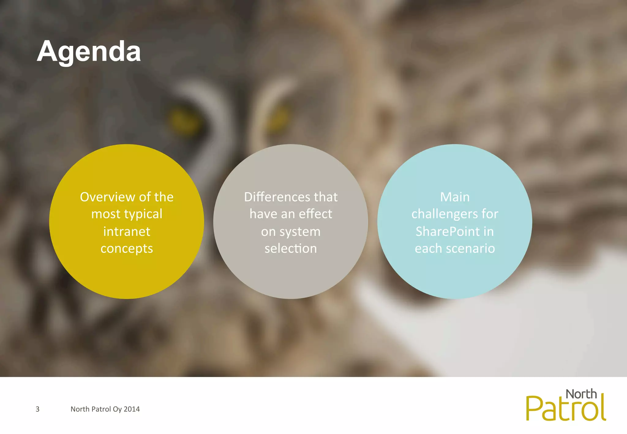 Intranet systems beyond SharePoint | PPT