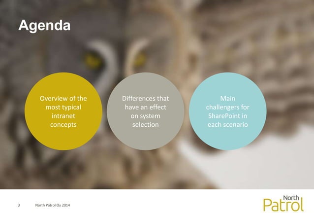 Intranet systems beyond SharePoint | PPTX | Desktop Publishing | Computer Software and Applications