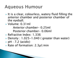 Intraocular pressure and aqueous dynamics | PPTX | Eye and Vision ...