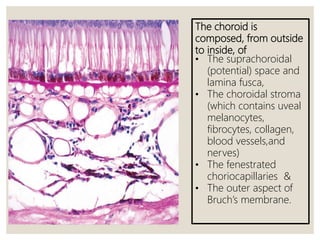 Intraocular tumors 18 | PPTX