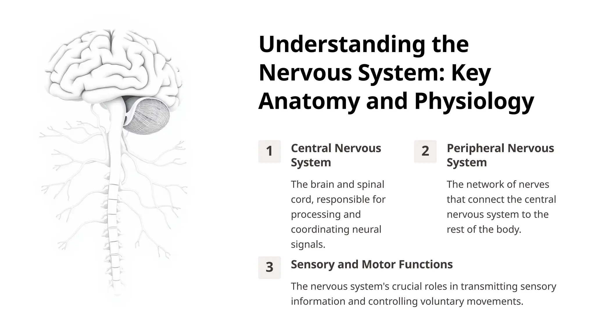 Intraoperative-Neuro-Monitoring-A-Comprehensive-Overview.pptx