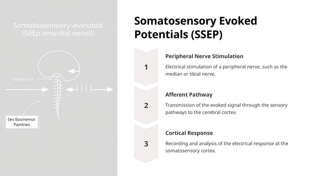 Intraoperative-Neuro-Monitoring-A-Comprehensive-Overview.pptx