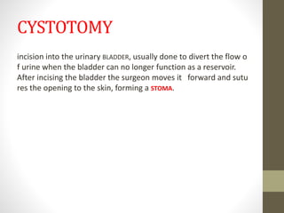 Intraoperative and postprocedural complications of genitourinary system ...