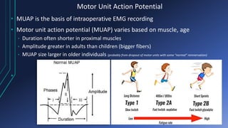 Intraoperative Electromyography (EMG) | PPTX