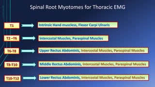 Intraoperative Electromyography (EMG) | PPTX