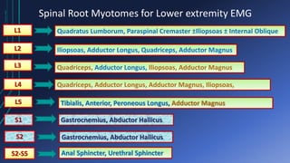 Intraoperative Electromyography (EMG) | PPTX