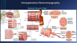 Intraoperative Electromyography (EMG) | PPTX