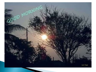 Intra operative nerve monitoring in ent | PPTX