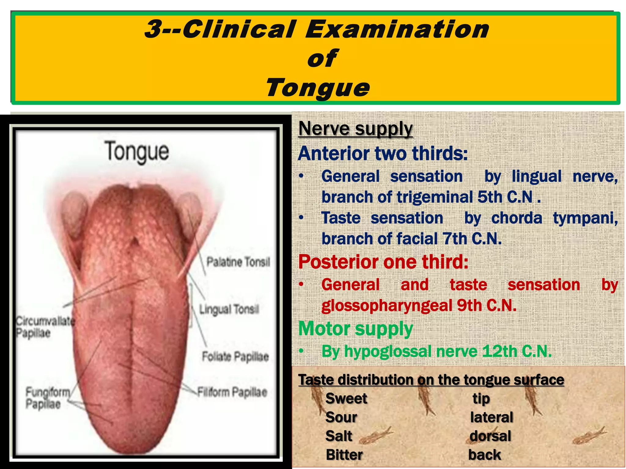 Intra oral examination | PPTX
