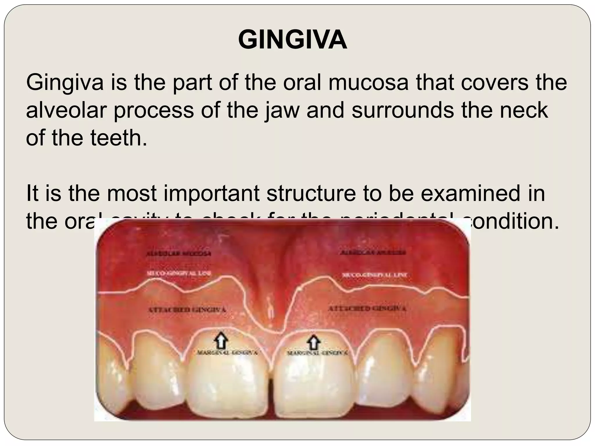 Intra oral examination | PPTX