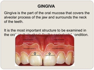 Intra oral examination | PPTX