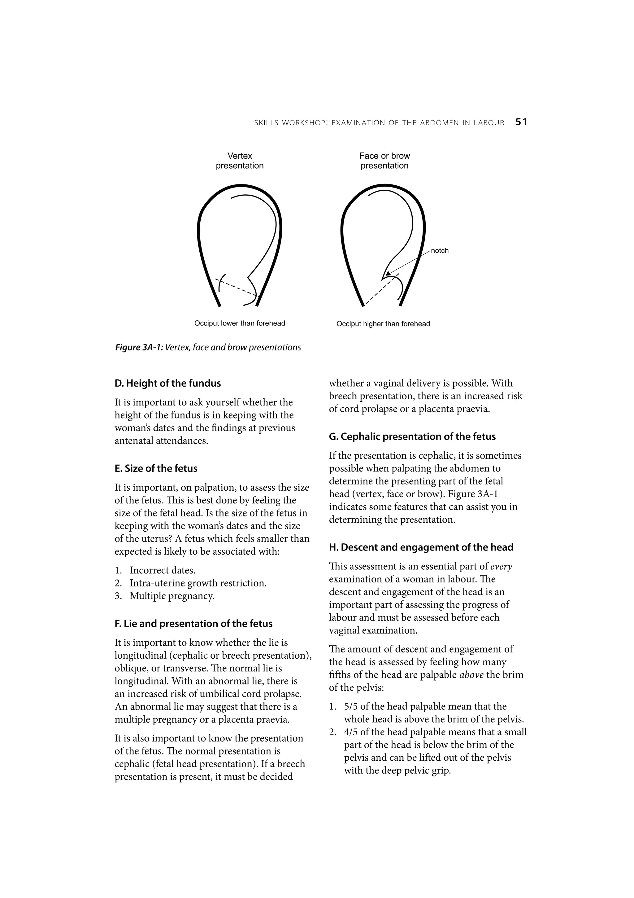 Intrapartum Care: Skills workshop Examination in labour | PDF
