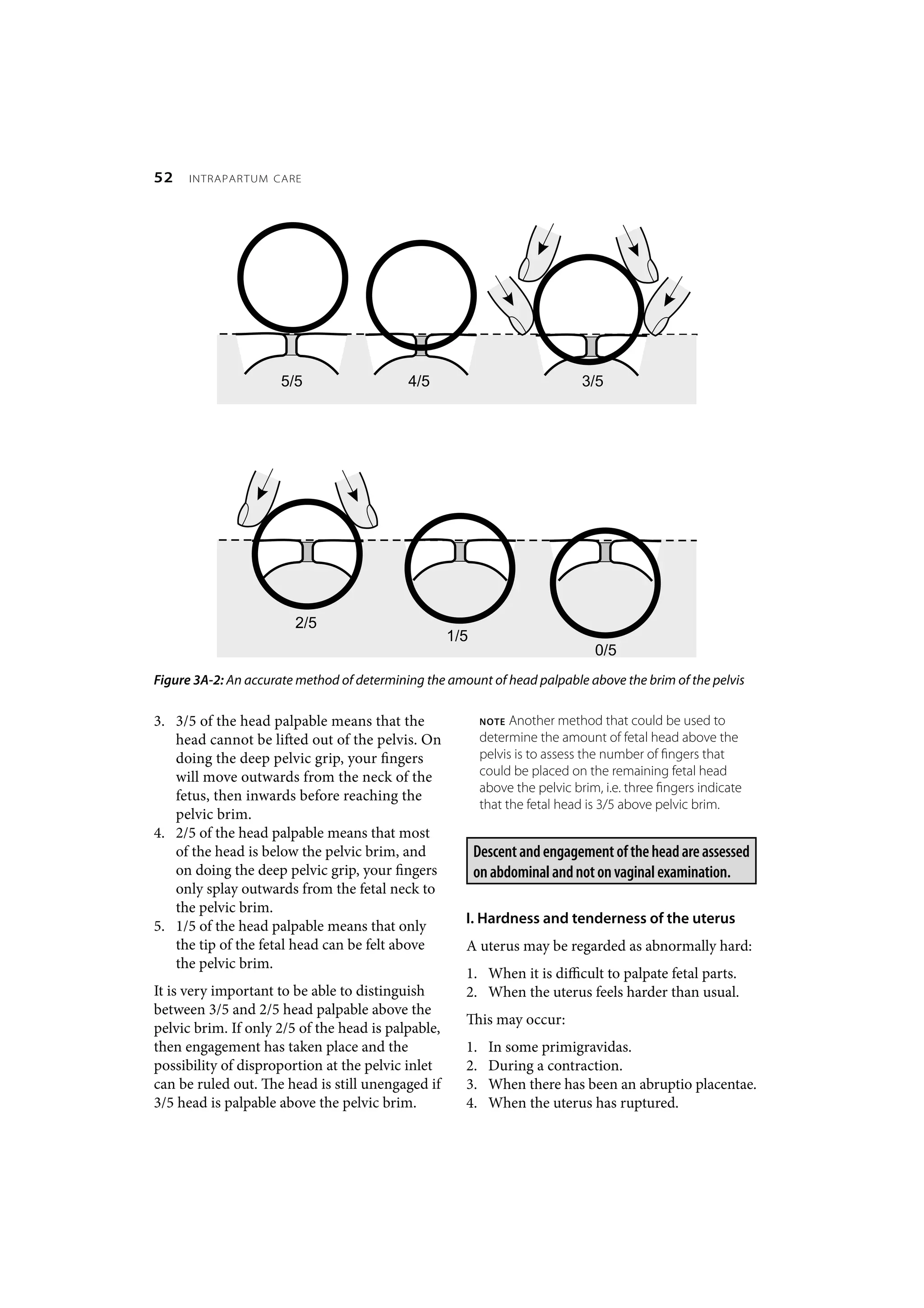 Intrapartum Care: Skills workshop Examination in labour | PDF