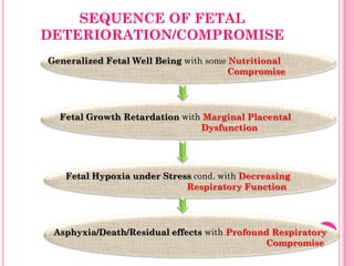 Intrapartum fetal monitering | PPTX