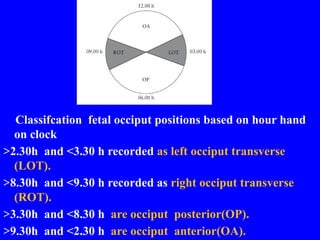Intrapartum transperineal ultrasound.pptx