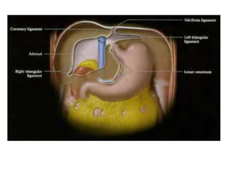 Intraperitoneal