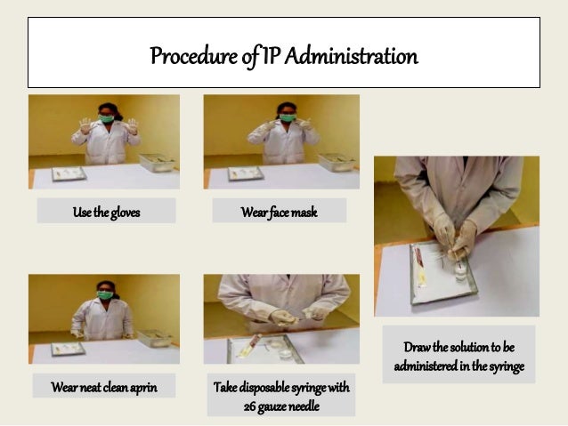 Intra peritoneal (ip) route of drug administration | PPTX