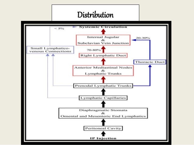 Intra peritoneal (ip) route of drug administration | PPTX