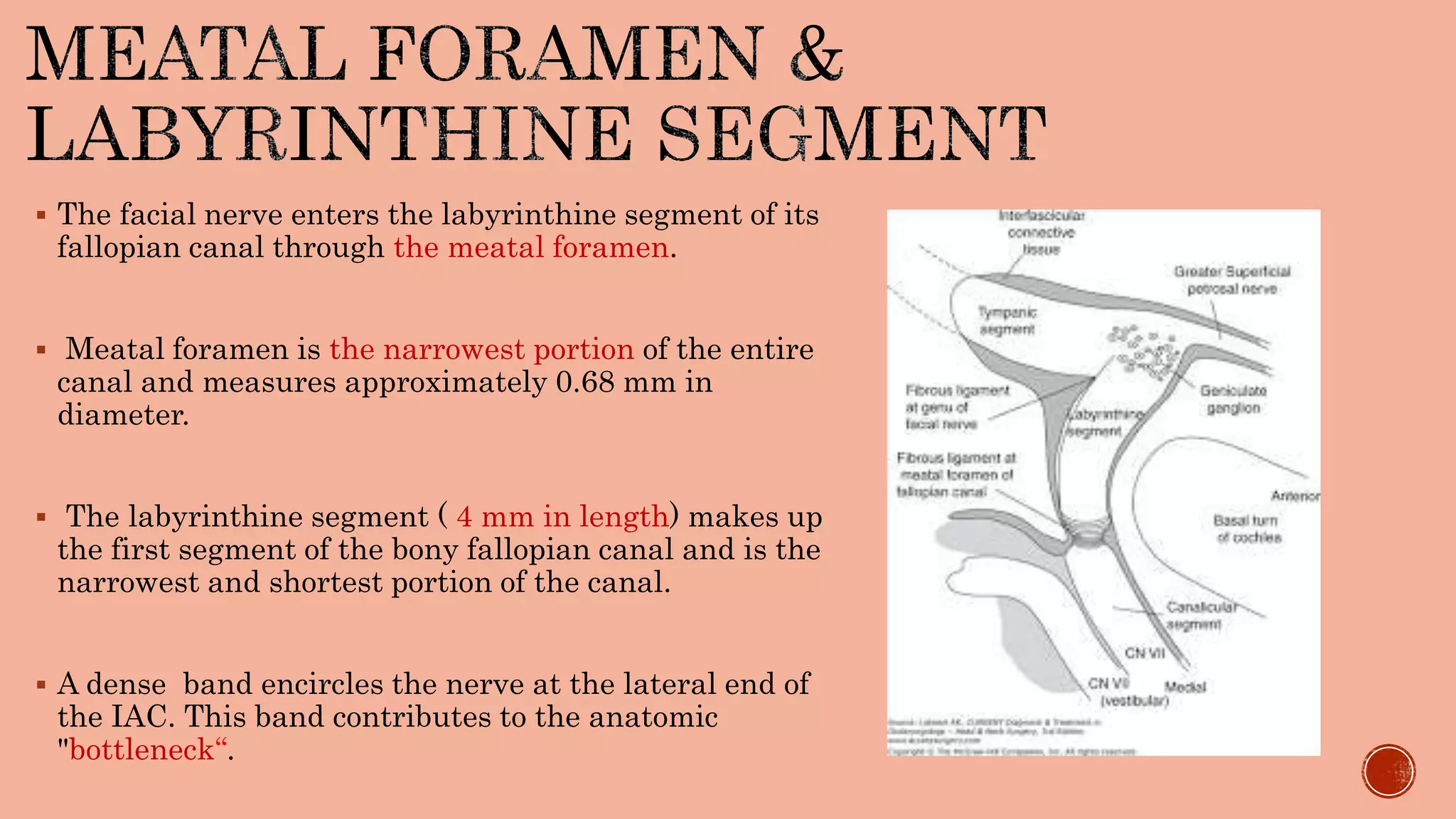 Intratemporal course of facial nerve | PPTX