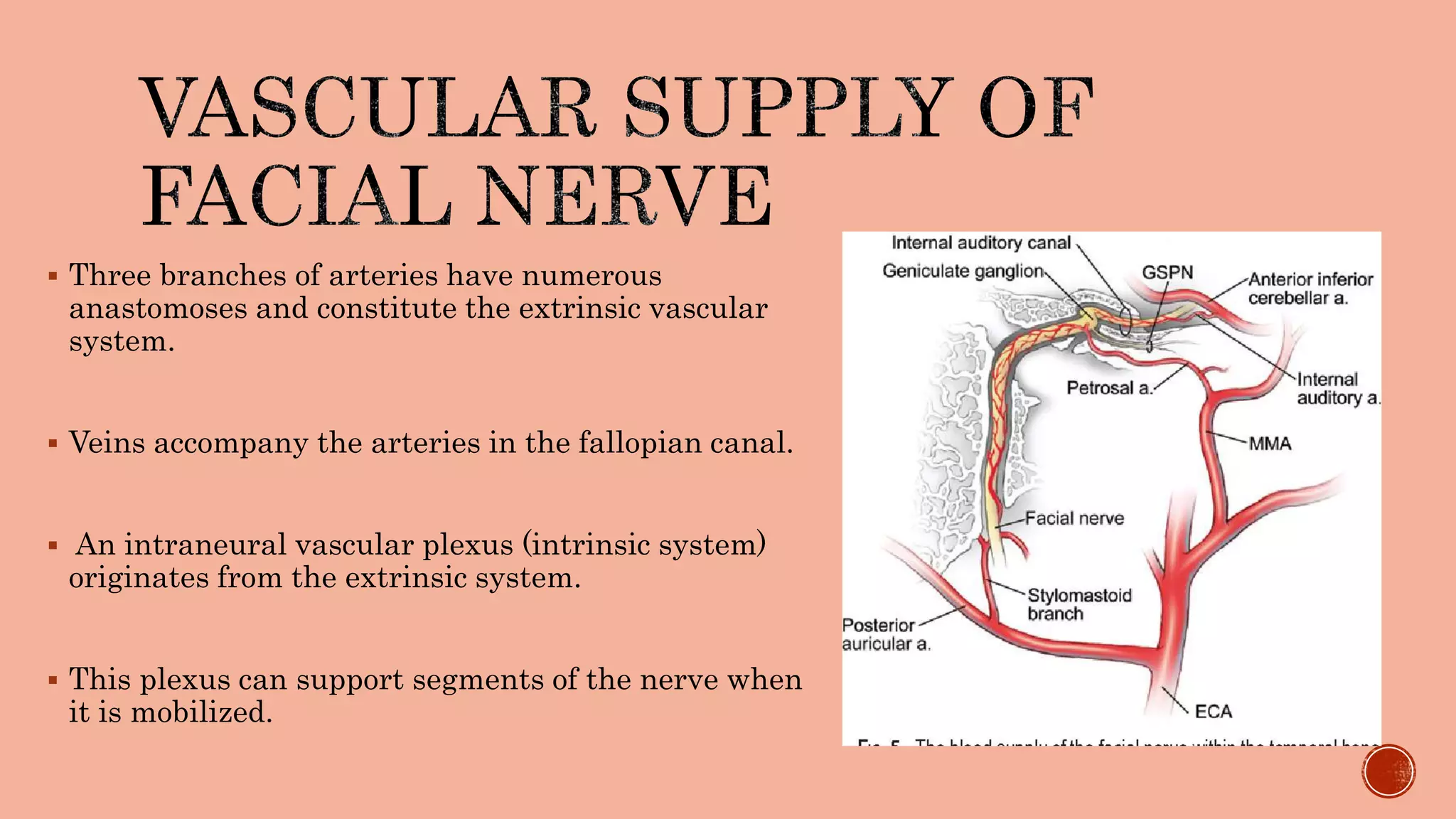 Intratemporal course of facial nerve | PPTX