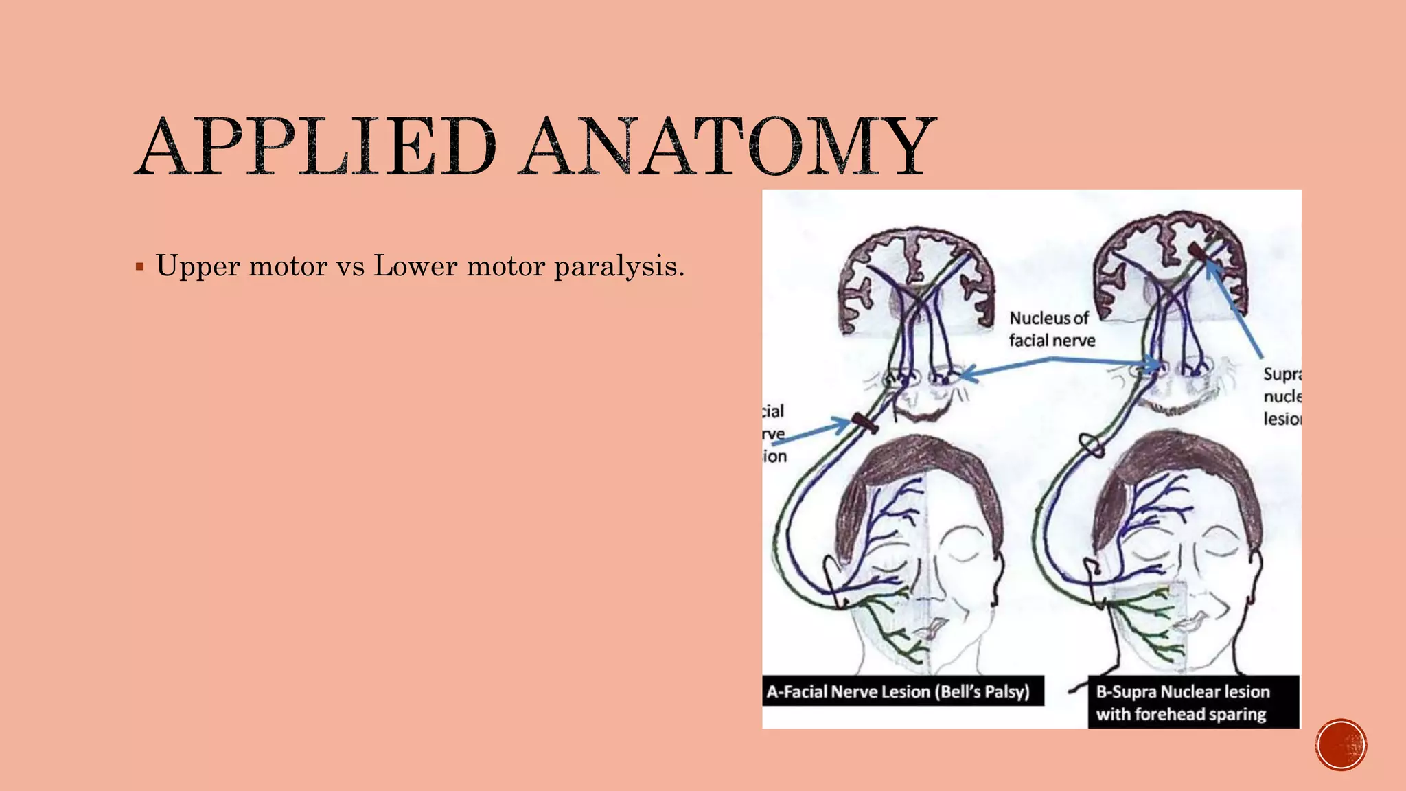 Intratemporal course of facial nerve | PPTX