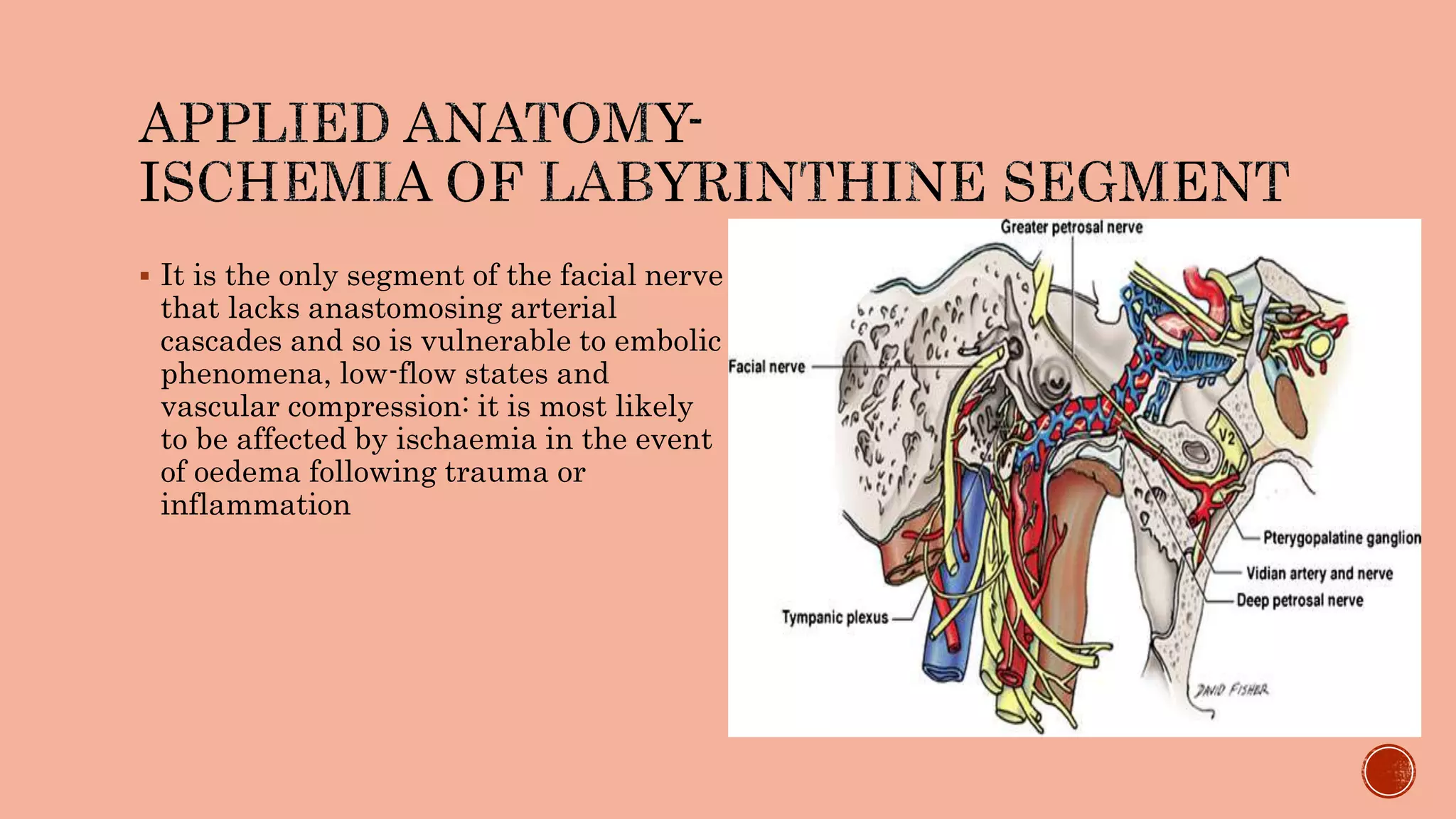 Intratemporal course of facial nerve | PPTX