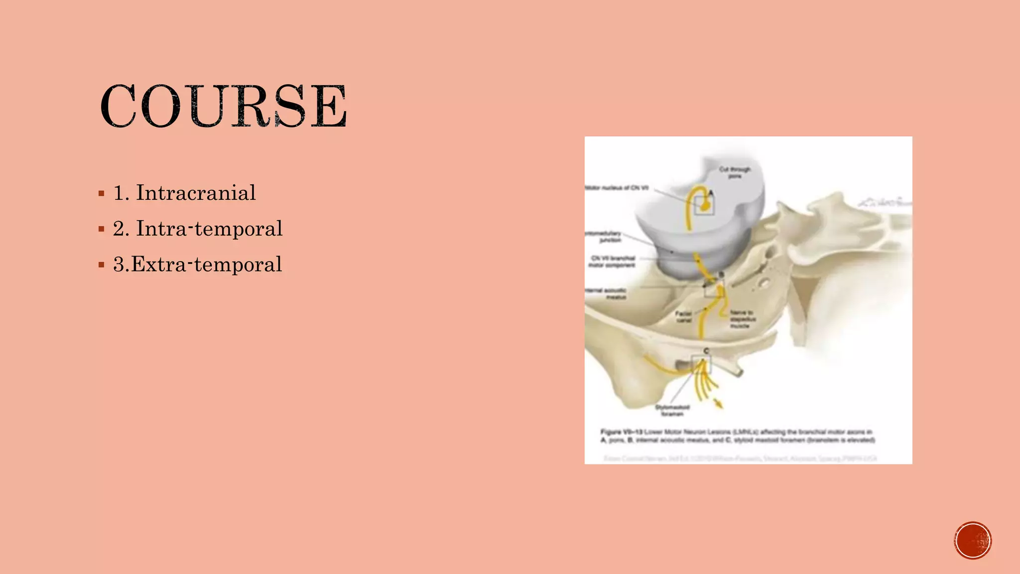 Intratemporal course of facial nerve | PPTX