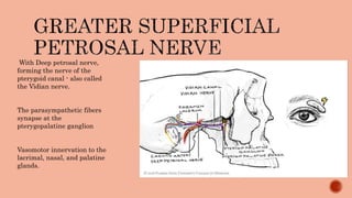 Intratemporal course of facial nerve | PPTX