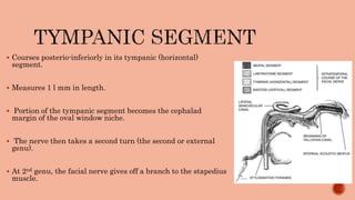 Intratemporal course of facial nerve | PPTX