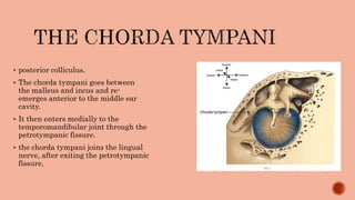 Intratemporal course of facial nerve | PPTX