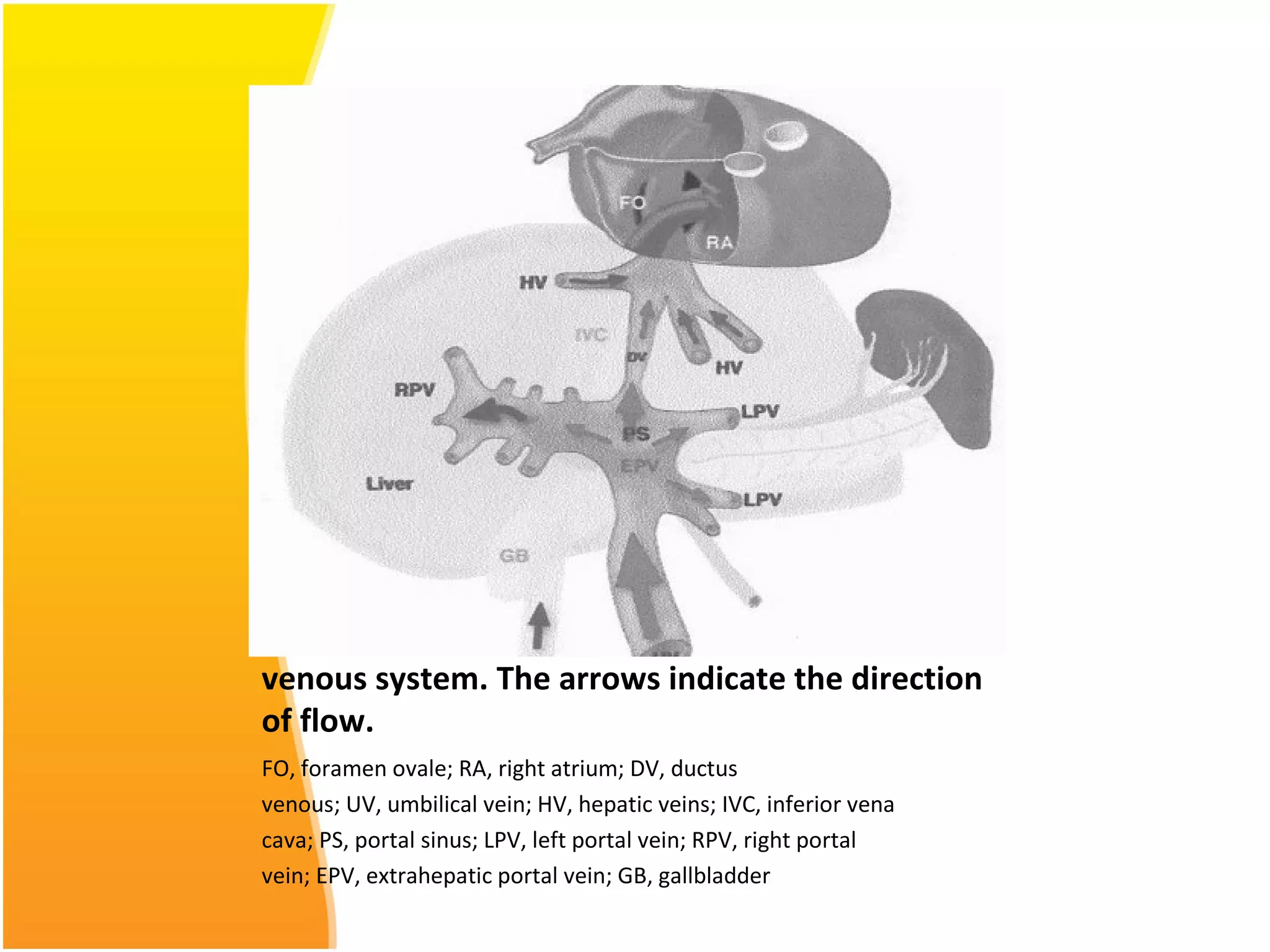 Intrauterine growth restriction | PPT