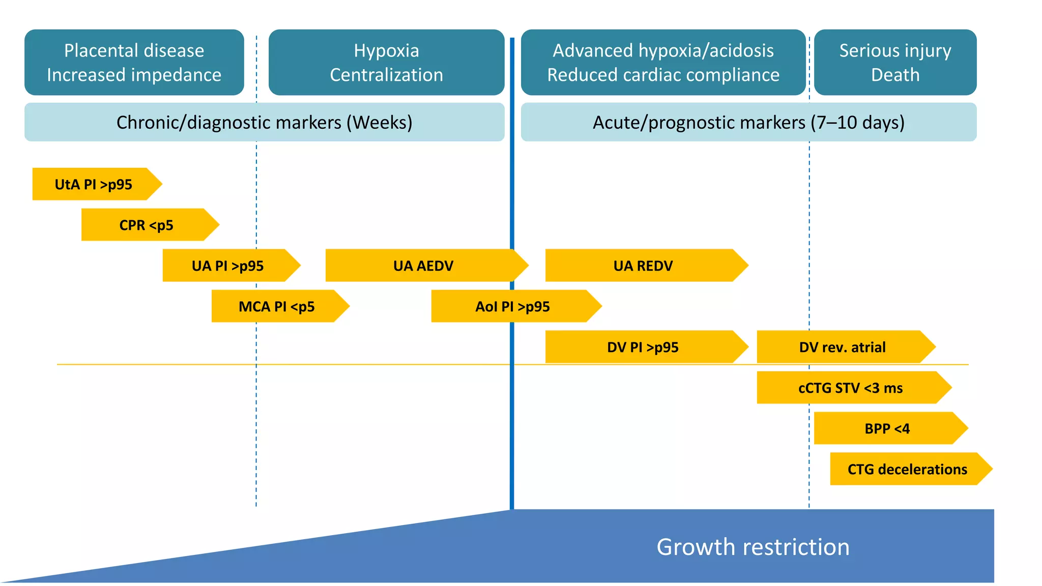 Intra uterine growth restriction (iugr) Doppler sudy | PPT