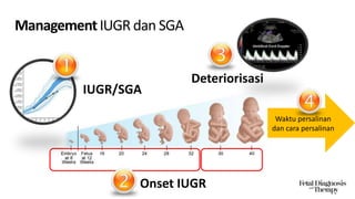 Intra uterine growth restriction (iugr) Doppler sudy | PPT