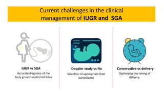 Intra uterine growth restriction (iugr) Doppler sudy | PPT