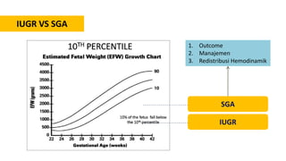 Intra uterine growth restriction (iugr) Doppler sudy | PPT