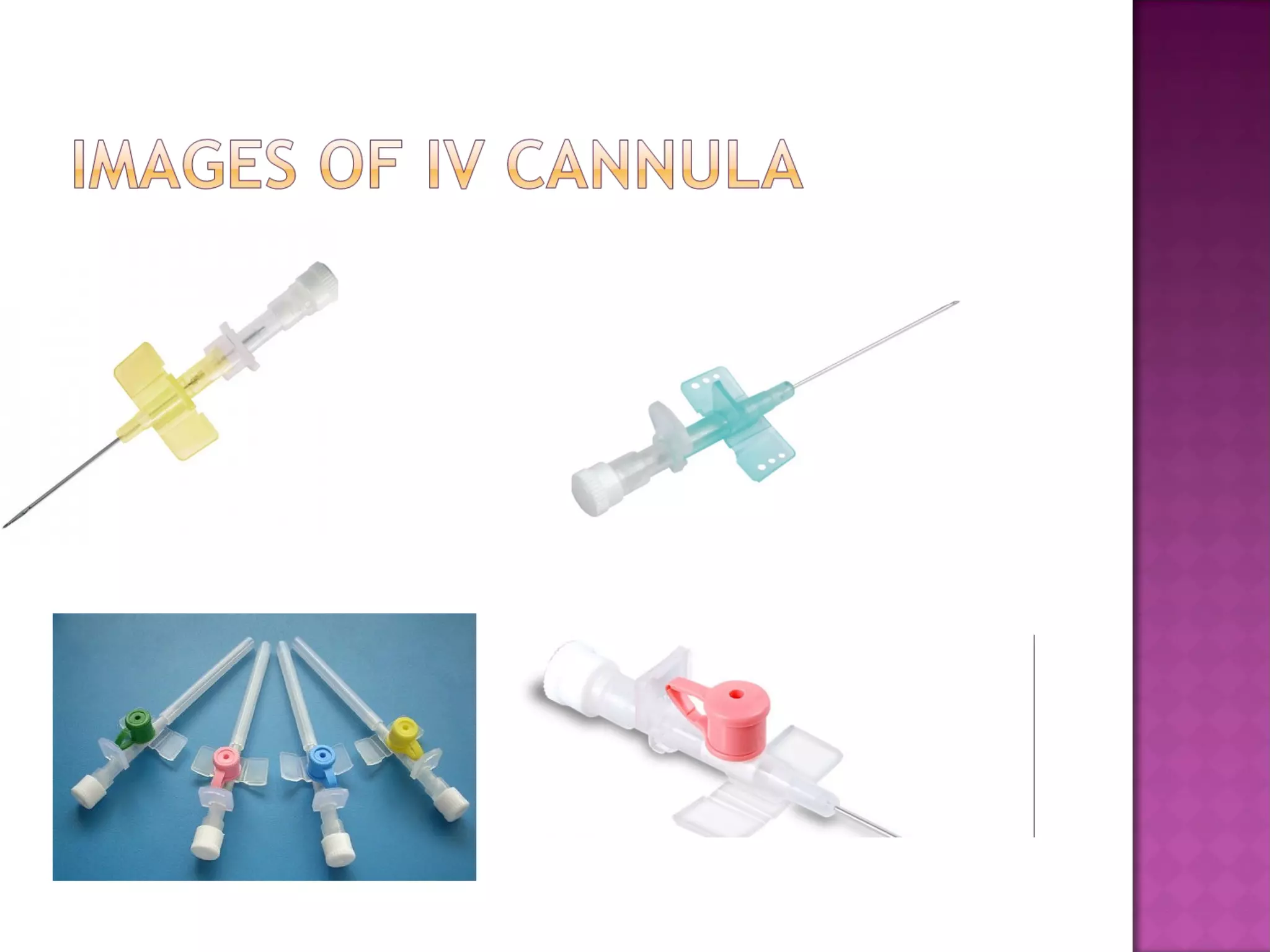iv cannula | PPT