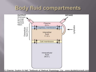 Intravenous fluids crystalloids and colloids | PPTX