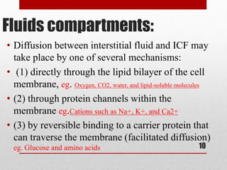 Intravenous fluid therapy during anesthesia.pptx | Blood Disorders ...