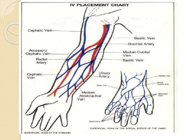 Intravenous Administration of Drugs | PPTX