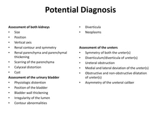 Intravenous Pyelogram RENAL TESTS ADULTS.pptx