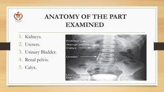 intravenous pylogram (IVP/IVU) intravenous urogram | PPTX