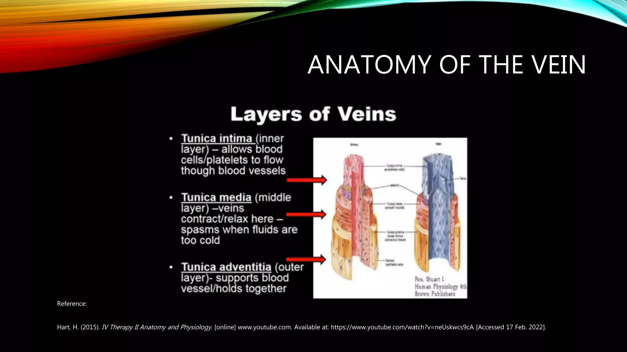 INTRAVENOUS THERAPY | PPTX