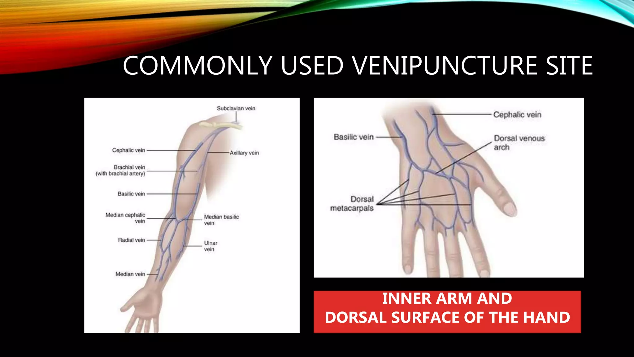 INTRAVENOUS THERAPY | PPTX