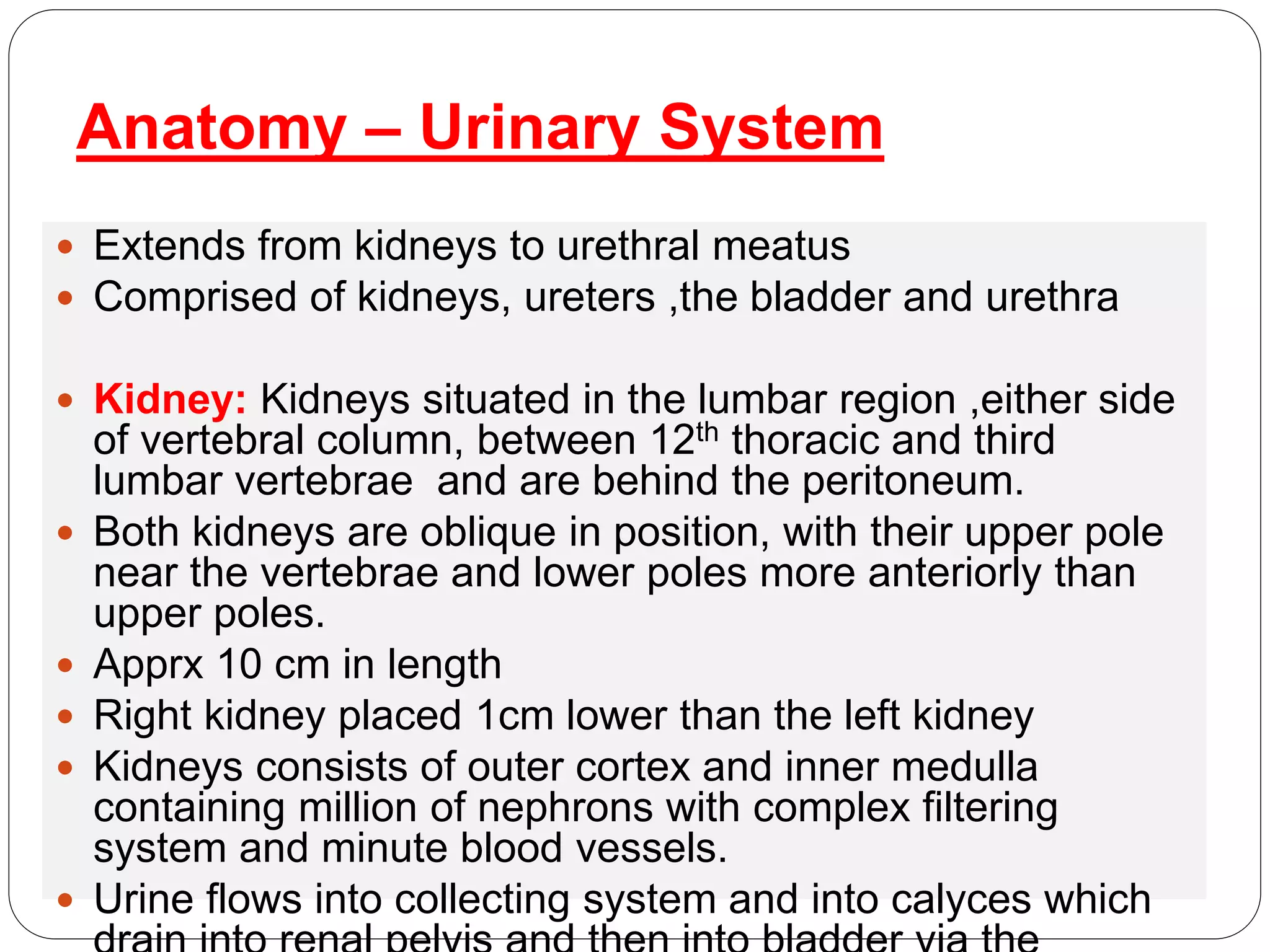 Intravenous urogram ( Sandip Gautam ) | PPTX