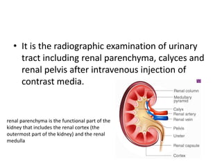 Intravenous Urography (IVU)., radiological procedure | PPTX